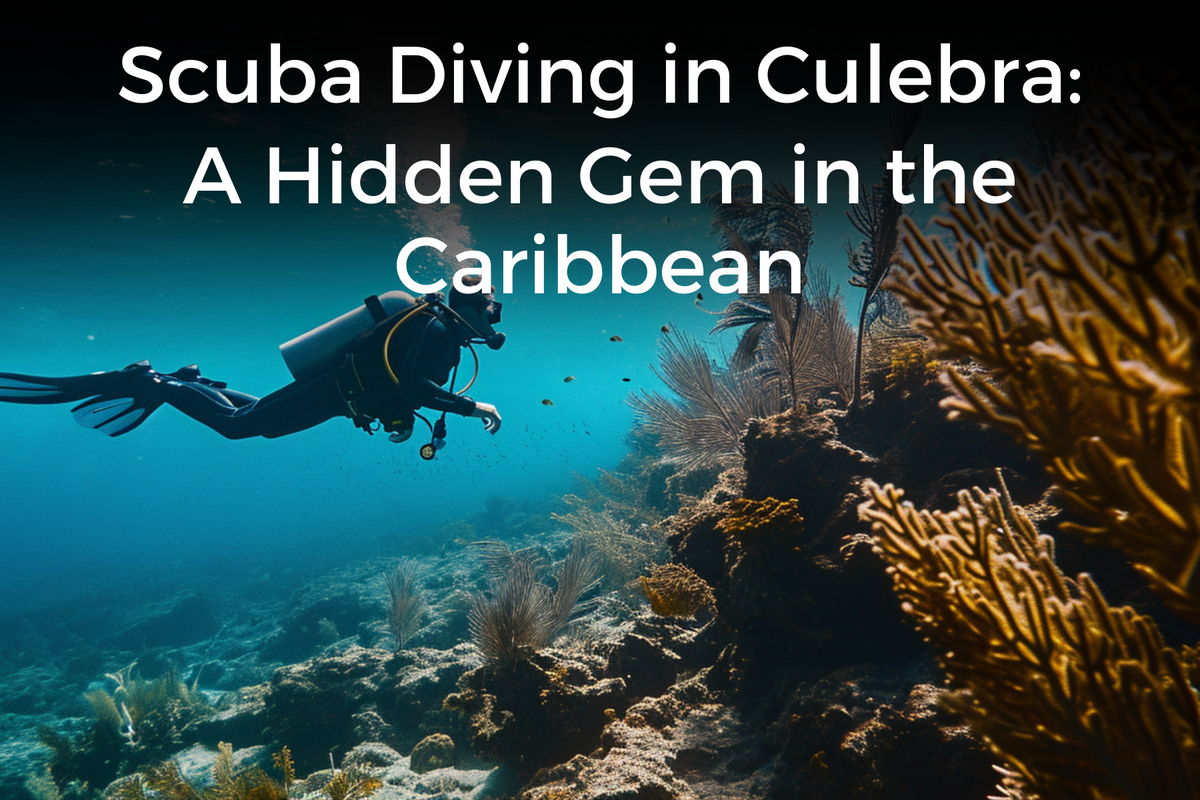 Scuba Diving in Culebra: A Hidden Gem in the Caribbean – Underwater ...